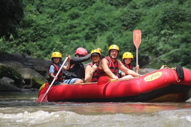 Bali ATV Rafting And Ubud Waterfall Private Tour - Who Is This Tour Best Suited For?