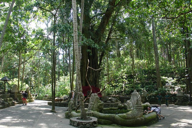 Bali Full-Day Traditional Village Sightseeing Trip All Inclusive - Coffee and Rice Terraces