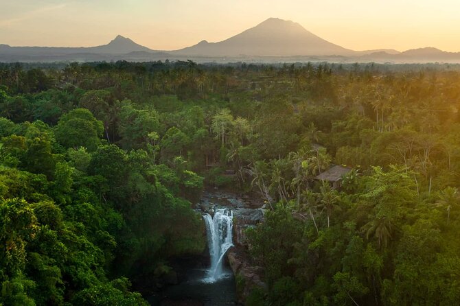 Bali Private Tour - Best of Ubud - All Inclusive - The Value Proposition