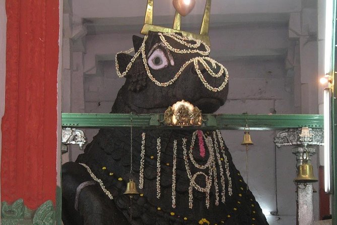 Bangalore city tour with a guide in private car and lunch - Who Will Love This Tour?
