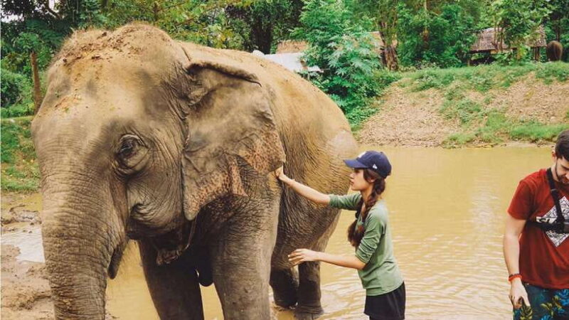 Bangkok: Elephants World & Erawan Waterfall in Kanchanaburi - Exploring the Itinerary