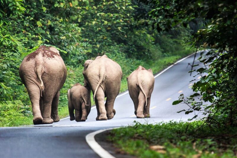 Bangkok: Khao Yai National Park with Horseback Ride Day Trip - Final Thoughts