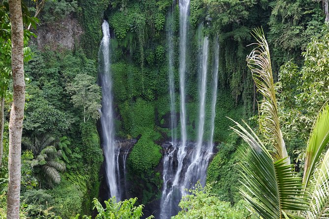 Banyuwana & Banyumala Waterfalls Tour (Private & All-Inclusive ) - Authentic Reviews: What Travelers Are Saying