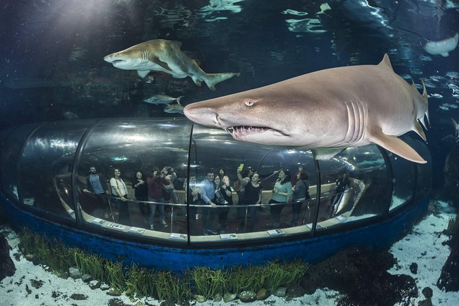 Barcelona Aquarium Skip the Line Ticket - Ticket Pricing and Options