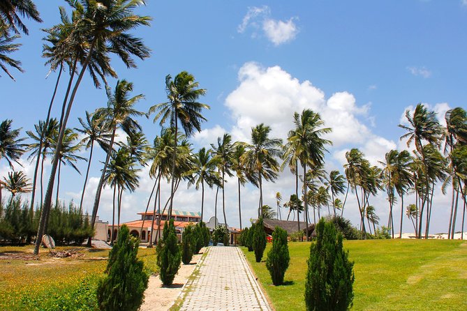 Barra De Punaú Tour - Departing From Natal - Tour Details