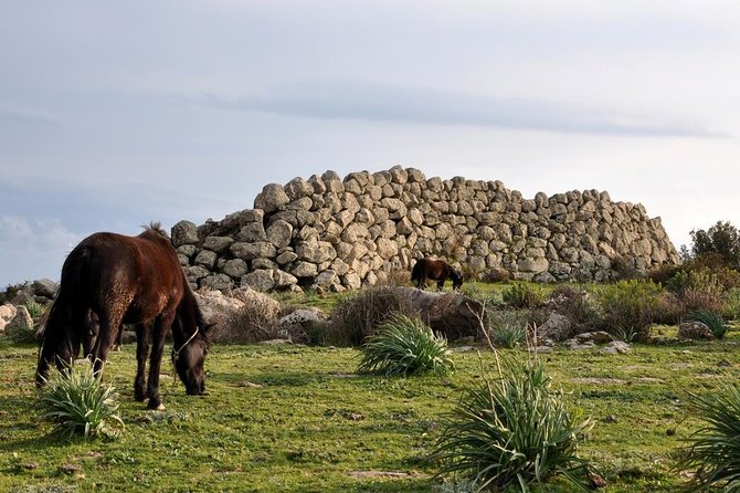 Barumini Unesco Site and Giara of Gesturi Tour From Cagliari - Inclusions and Pricing