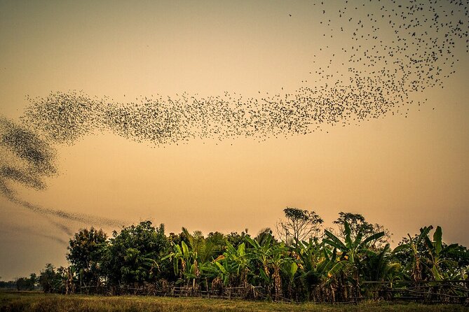 Battambang Tuk Tuk tour: Bambootrain, Killing & Bat Caves,Sunset - Practical Aspects and Value