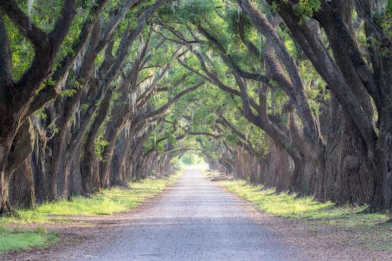 Bayous And Byways, Oak Alley Plantation And Kayak Swamp Tour - The Practical Side: Value, Comfort, and Expectations