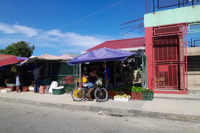 Belize City History, Culture, Nature and Rum Tasting - Discovering Belizean Wildlife