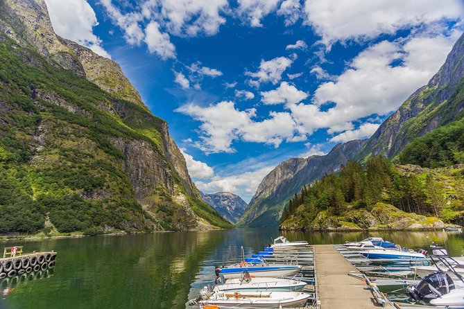 Bergen to Sognefjord Private Roudtrip With Cruise and Flasmbana - Included Services