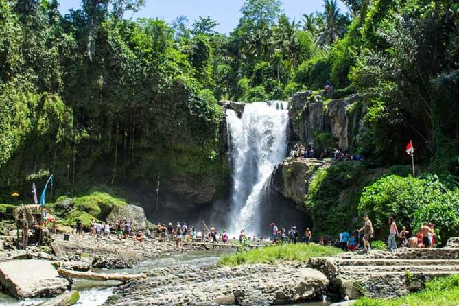 Best of Bali Tour - All Inclusive - Who Will Benefit Most From This Tour?