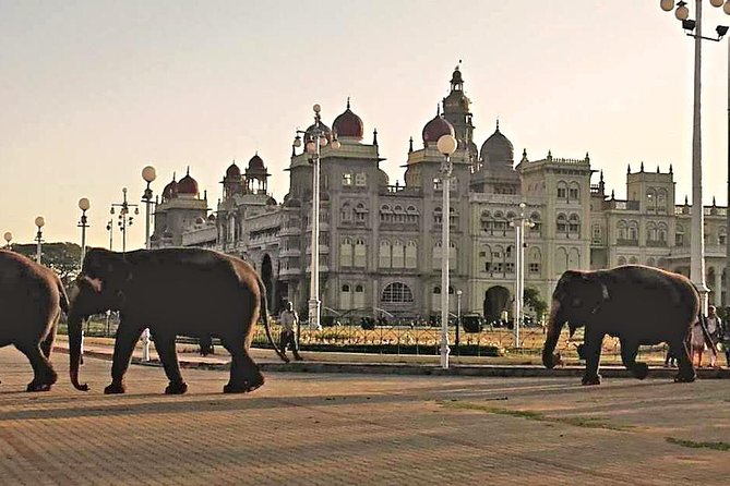 Best of Mysore/Mysuru, Somnathpur & Srirangapatna in a Day - The Small Group Advantage