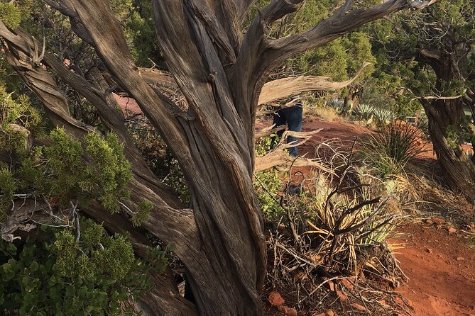 Best Vortex and Chakra Tour of Sedona - Experience the Spiritual Side of Sedona