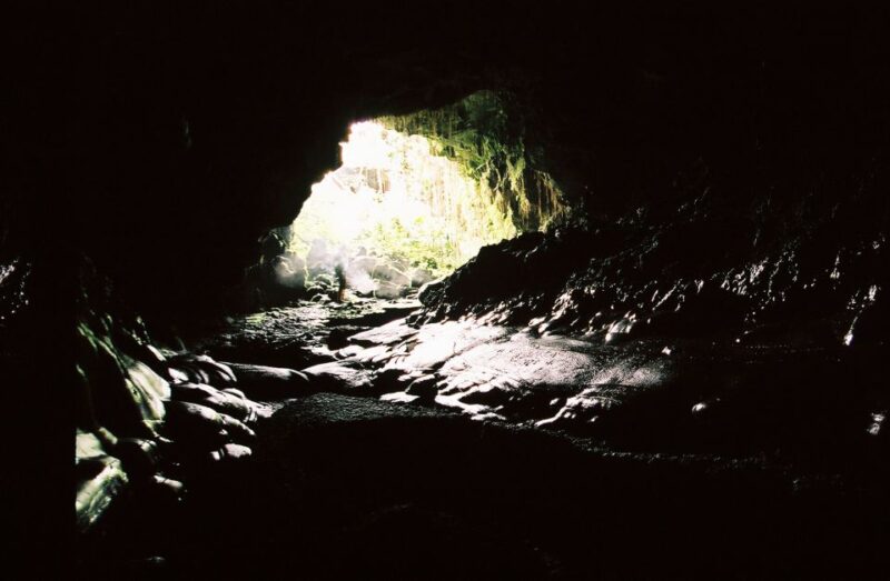 Big Hawaii: Private Guided Van Tour - Why Choose the Big Hawaii Private Van Tour?