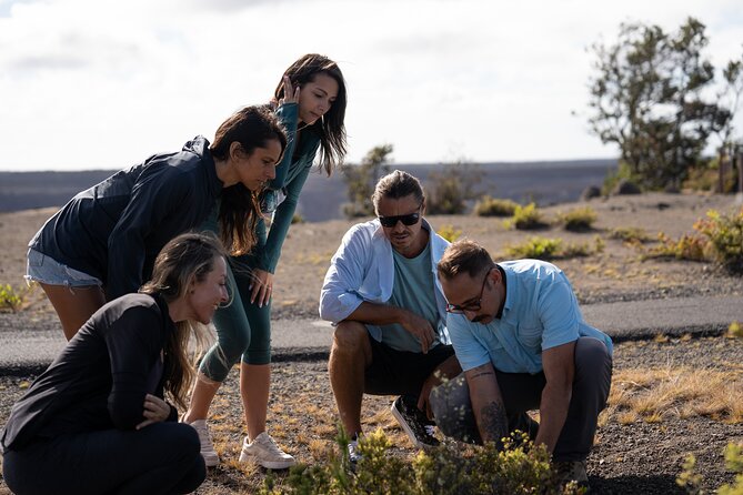 Big Island Highlights: Coffee, Volcano, Black Sands & Waterfall - What Our Reviewers Say