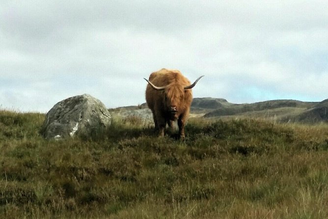Bike or E-Bike Tour of Scottish Highlands National Park by TBC - Bike and Equipment Options