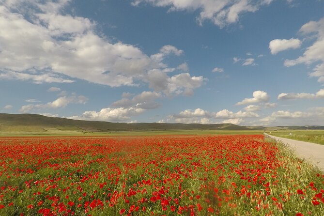 Bike Tour in the Alta Murgia National Park (Pulo of Altamura) - Highlights of the Bike Tour