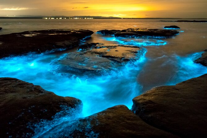 Bioluminescence Clear Kayak or Paddleboard Tour Near Orlando - Wildlife Encounters in Indian River Lagoon