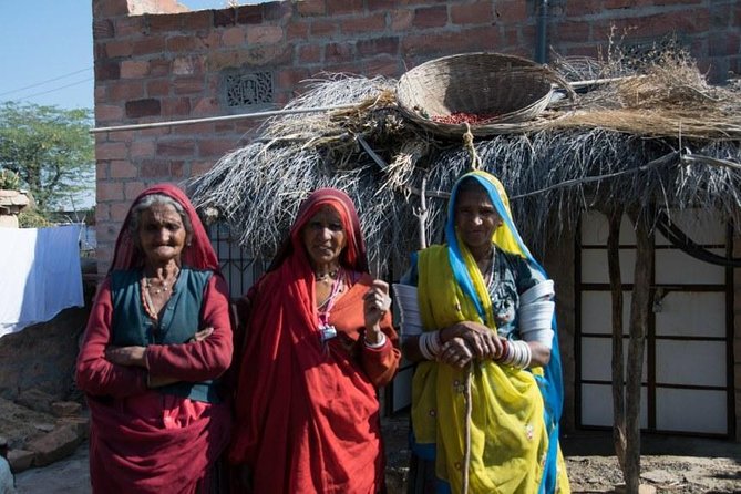 Bishnoi Village Safari - A Genuine Look into Rural Rajasthan: Bishnoi Village Safari