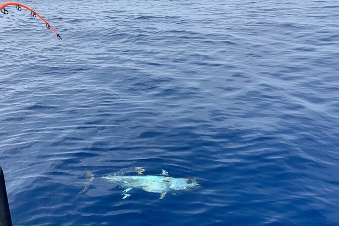 Bluefin Tuna Fishing Charter in the Egadi Islands - Whats Included in the Charter