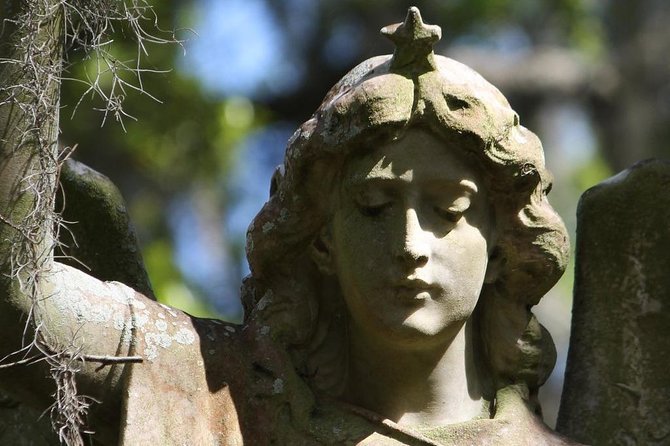 Bonaventure Cemetery Walking Tour with Transportation - The Experience at Bonaventure Cemetery