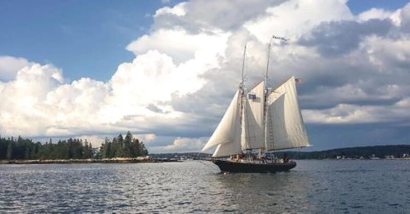Boothbay Harbor: Schooner Apple Jack Daytime Sailing Cruise - Who Will Enjoy This Experience Most?