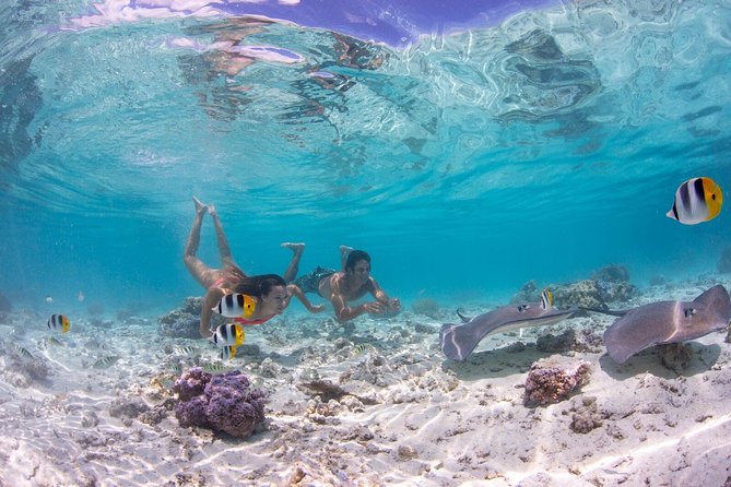 Bora Bora Eco Snorkel Cruise Including Snorkeling with Sharks and Stingrays - Final Thoughts: Is It Worth It?