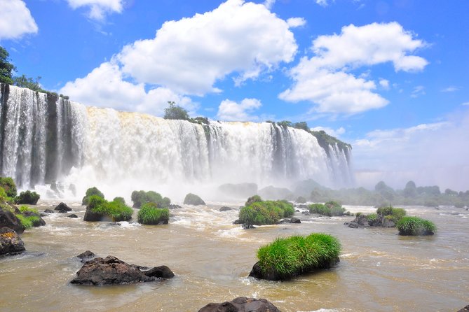 Brazilian Falls, Bird Park and Itaipu Dam From Foz Do Iguaçu - Exploring the Bird Park