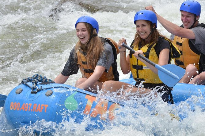 Browns Canyon Intermediate Rafting Trip Half Day - The Sum Up
