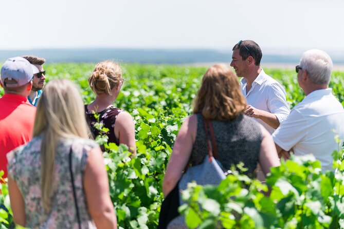 Burgundy Wine Tasting Small-Group Tour in Chablis From Paris - Wine Wineries to Visit