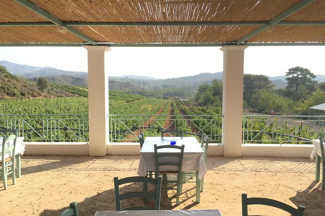 Butterflies Valley & Wine Tasting Experience Private Tour - Transportation and Pickup Details