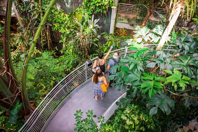 California Academy of Sciences General Admission Ticket - Who Should Visit?
