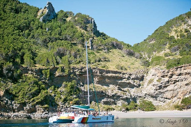 Catamaran Cruise From Port Dalcudia With Lunch and Swim Stop - Customer Feedback and Experience