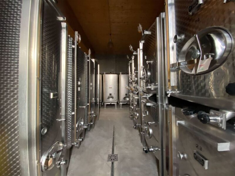 Cellar Visit and Alsace Wine Tasting With a Feminine Touch - Experience Highlights