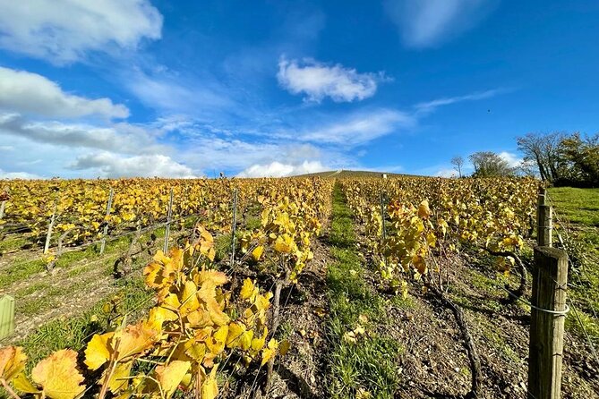 Champagne Small-Group Tour Review - Itinerary and Stops