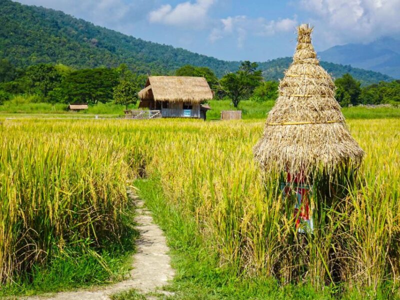 Chiang Mai: Doi Suthep, Wat Pha Lat & Wat Umong Spanish Tour - Authentic Flavors and Local Life