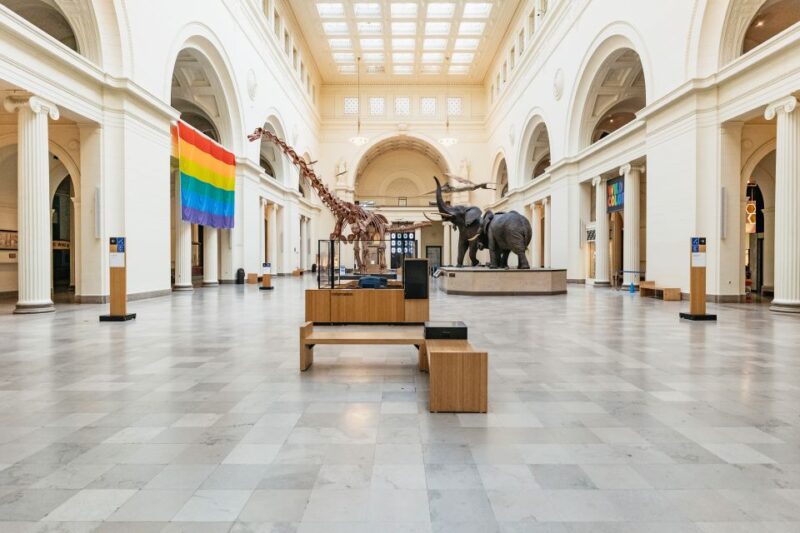 Chicago: Field Museum of Natural History Ticket or VIP Tour - The Benefits of the VIP and All-Access Options