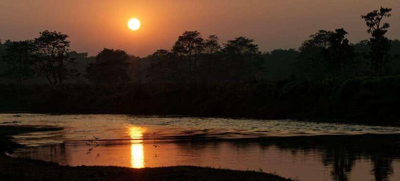Chitwan: 1-Night Jungle Safari with Transfers from Kathmandu - Safari Activities: Getting Up Close with Wildlife