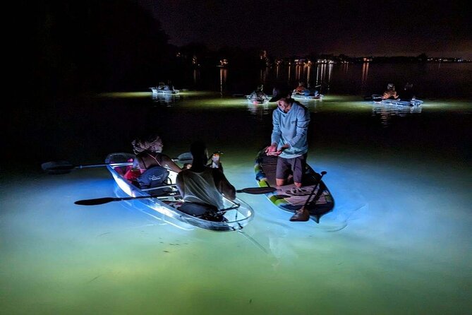 Clear Kayak LED Night Glass Bottom Tour - Siesta Key, FL - Showcasing Siesta Keys Marine Life