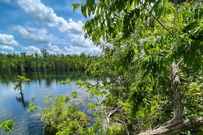 Clear Kayaking Eco Adventure Tour in Marianna - The Stops: What Makes This Tour Special