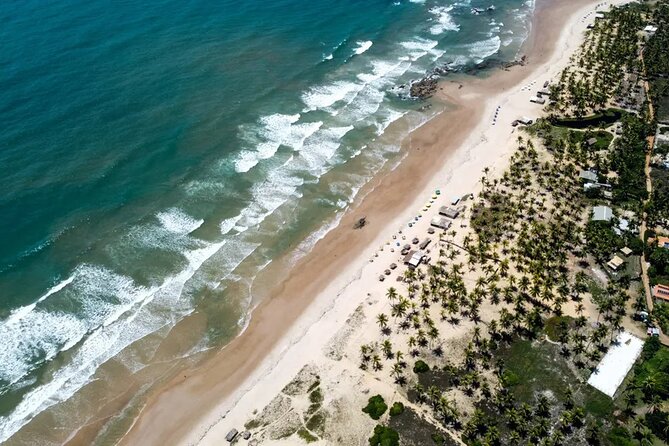 Coastal Wonders: Itacimirim and Imbassaí - Exploring Imbassaí
