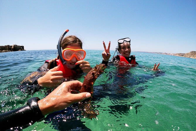 Coasteering Adventure With Snorkeling - Meeting and Pickup Information