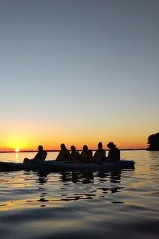 Cocoa Beach/Merritt Island: Guided Dolphin and Manatee Tour - Who Is This Tour Best Suited For?