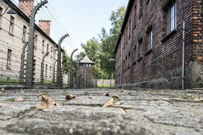 Combined: Auschwitz Birkenau and Salt Mine Private Chauffeur From Krakow - Customer Experiences and Feedback