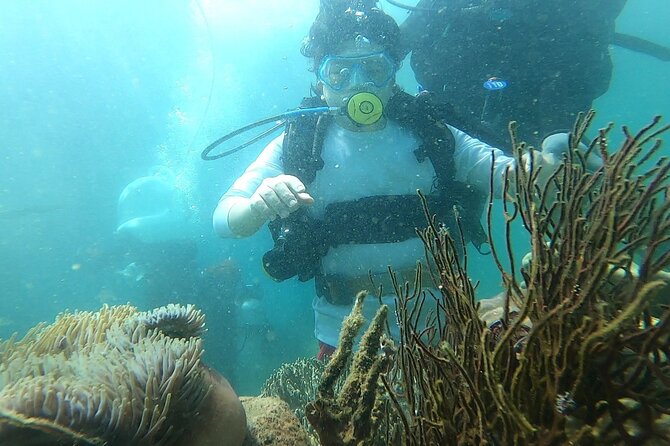 Coral Reef Snorkeling and Floating Bar Party from Nha Trang - Who Should Consider This Tour?