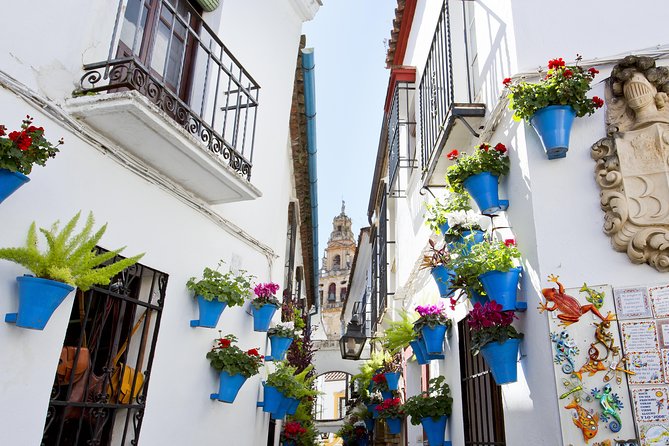 Cordoba Mosque & Jewish Quarter Guided Tour with tickets - Practical Tips for Tour Participants