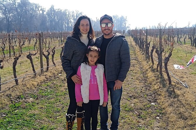 Cousiño Macul Vineyard - Maipo Valley - Premium Tasting - HD - Winemaking Process Exploration