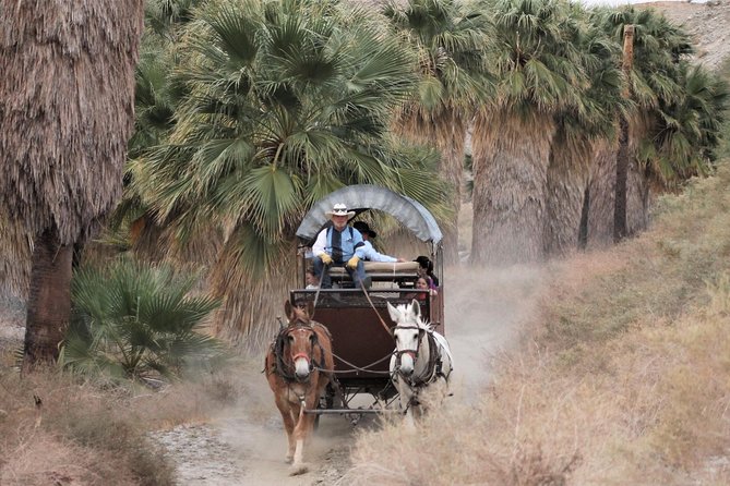 Covered Wagon Adventure & BBQ - Naturalist-Led Exploration