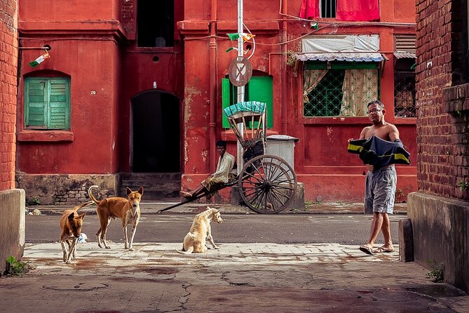 Cultural Confluence of Kolkata - Culture Kaleidoscope Tour - Final Thoughts
