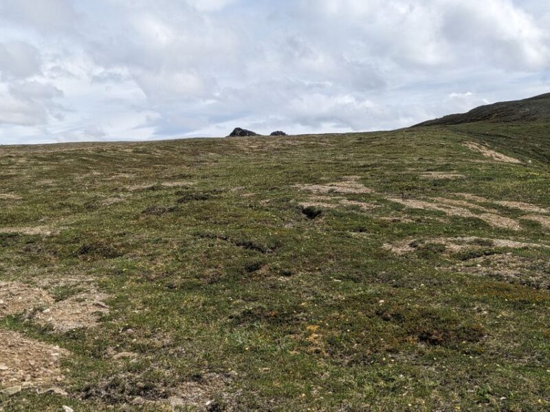 Denali: 5 Hour Guided Into The Mountains Hiking Tour - Practical Details and Logistics